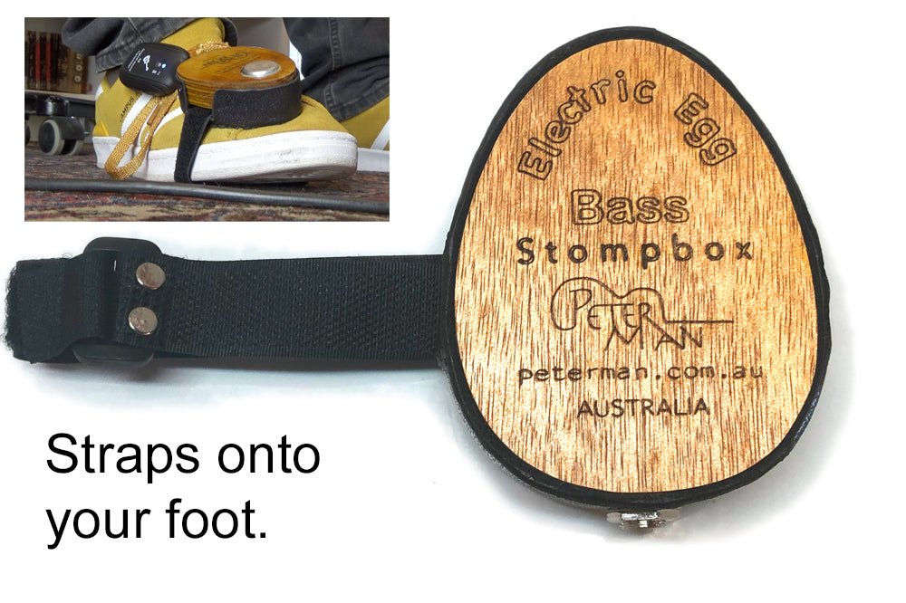 Stomp boxes - Peterman Acoustic